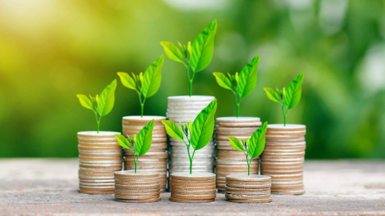 New Investment to Support Green Finance for Micro, Small and Medium ...
