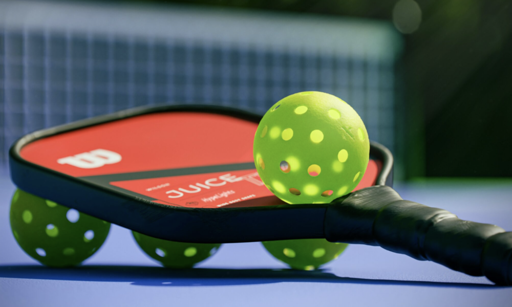 Indian Pickleball Association's Vision: Becoming a National Sports ...